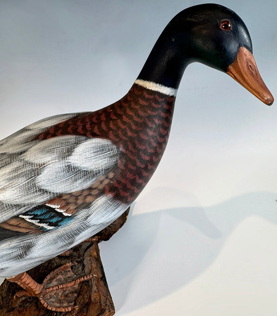 Stunning Vintage Hand Carved and Hand Painted Mallard Duck, 40+ Years ...