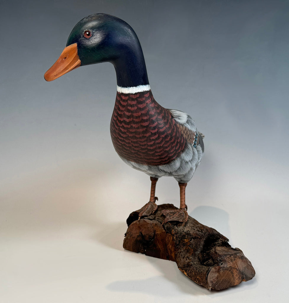 Stunning Vintage Hand Carved and Hand Painted Mallard Duck, 40+ Years ...
