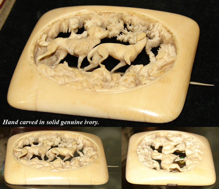 RARE Antique c.1830 to Early Victorian Carved Ivory Brooch w 3 Dogs, H ...