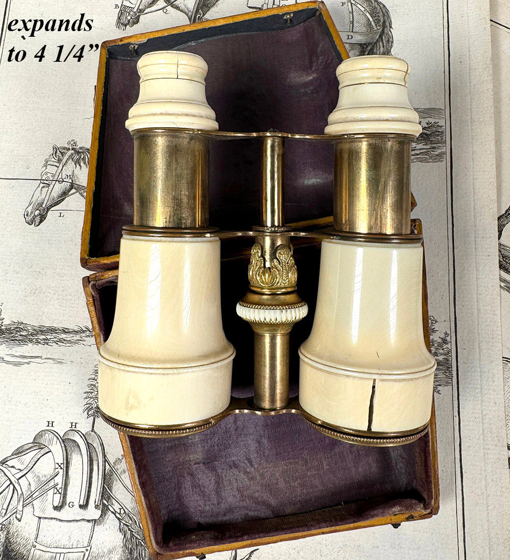 Antique French Palais Royal 18th Century Ivory Opera Glasses, Binocula ...