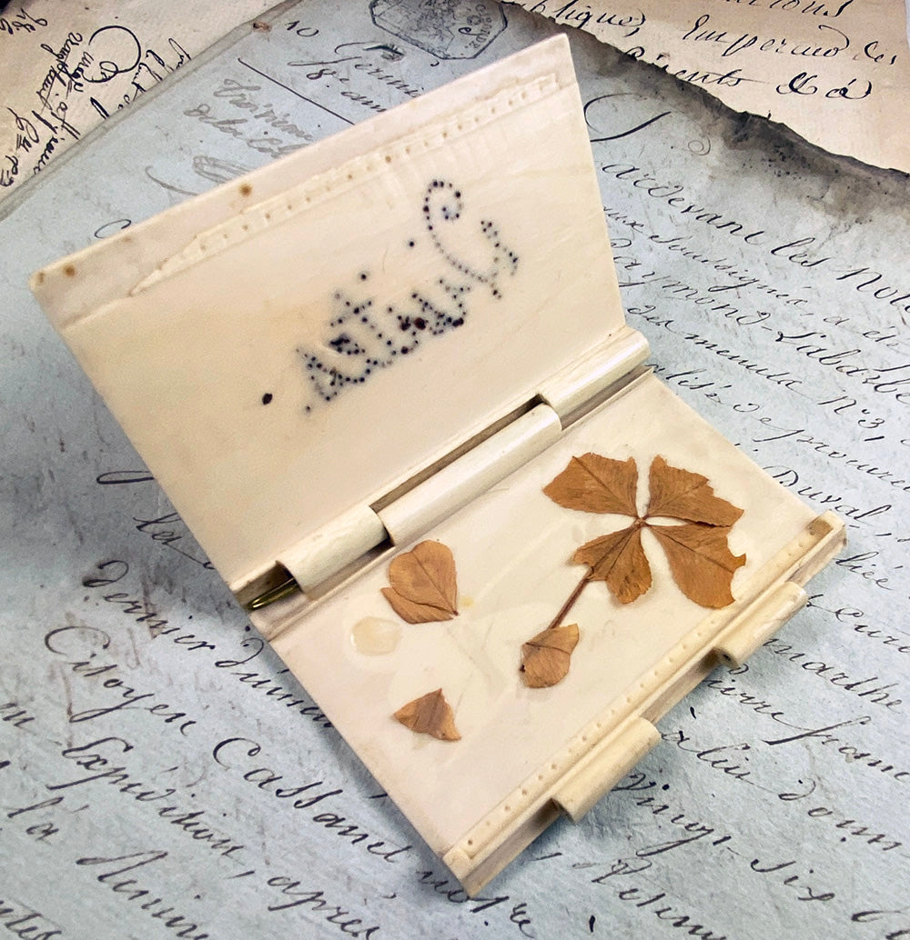 Antique 18th century French Calling Card Case, Aide d'Memoire, Ivory a ...