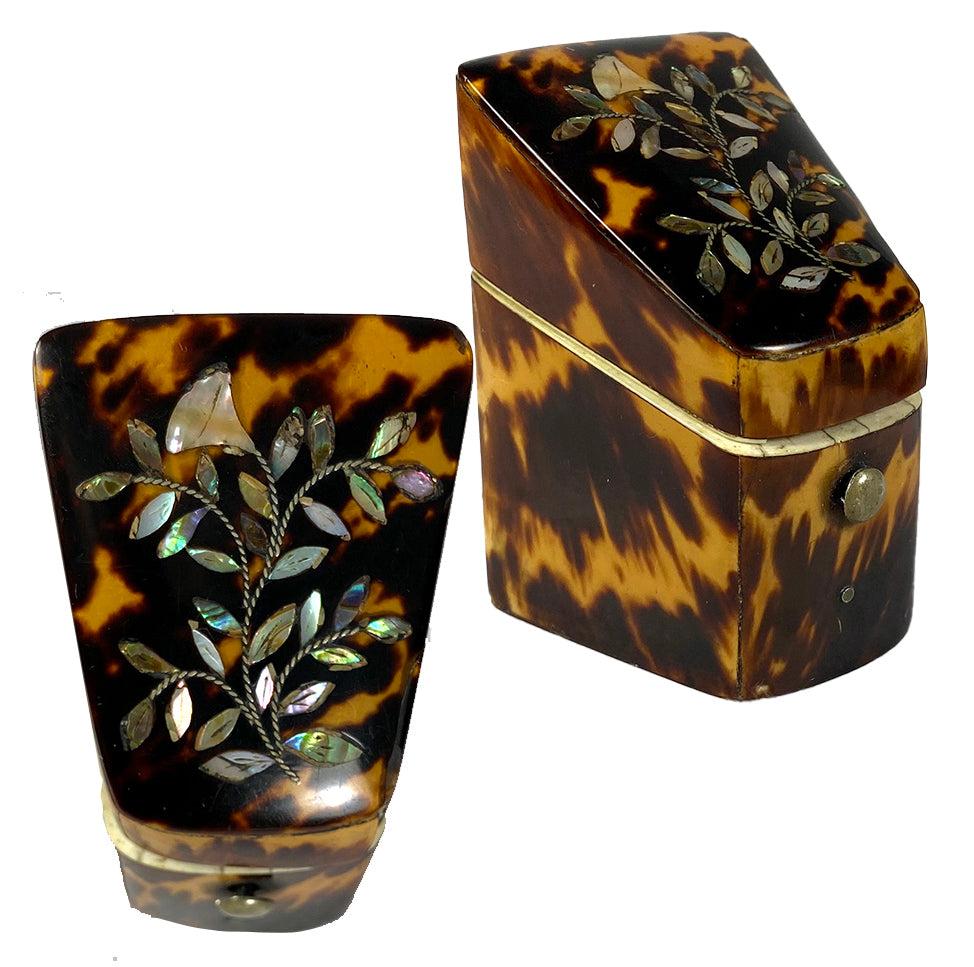 Antique Victorian Tortoise Shell Needle Case, Knife Box Style - Abalon ...