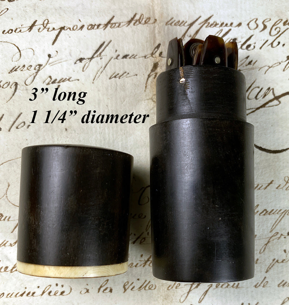 Antique 18th century French Doctor's Lancet Set of 6, Tortoise Shell E ...
