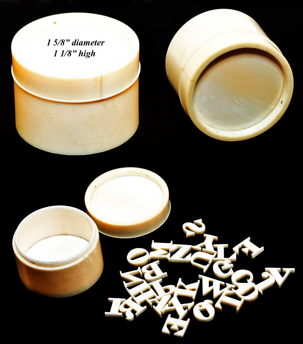 Antique Carved c.1800s Ivory Box with Carved Ivory Alphabet Inside, Cu ...