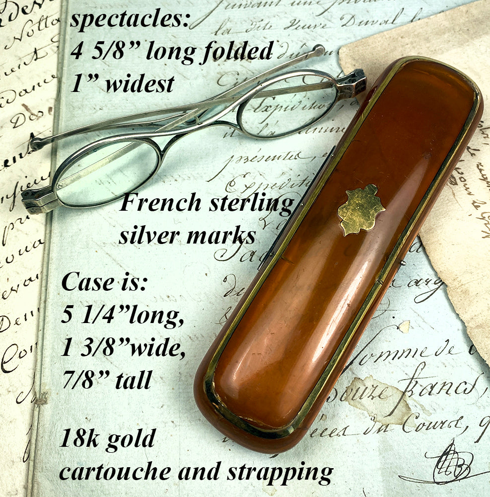 Antique French 18th Century Blond Tortoise Shell Spectacles Case, Ster ...