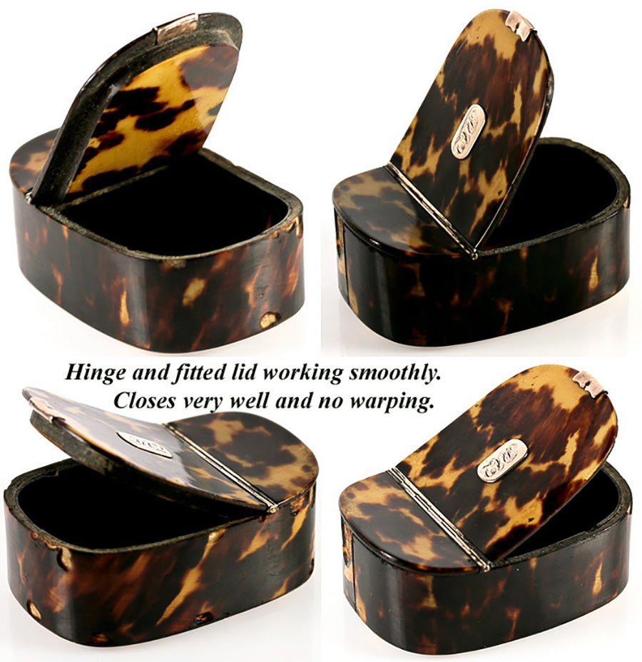 Fine Antique Georgian Era Tortoise Shell Table Snuff Box, Casket - Fre ...