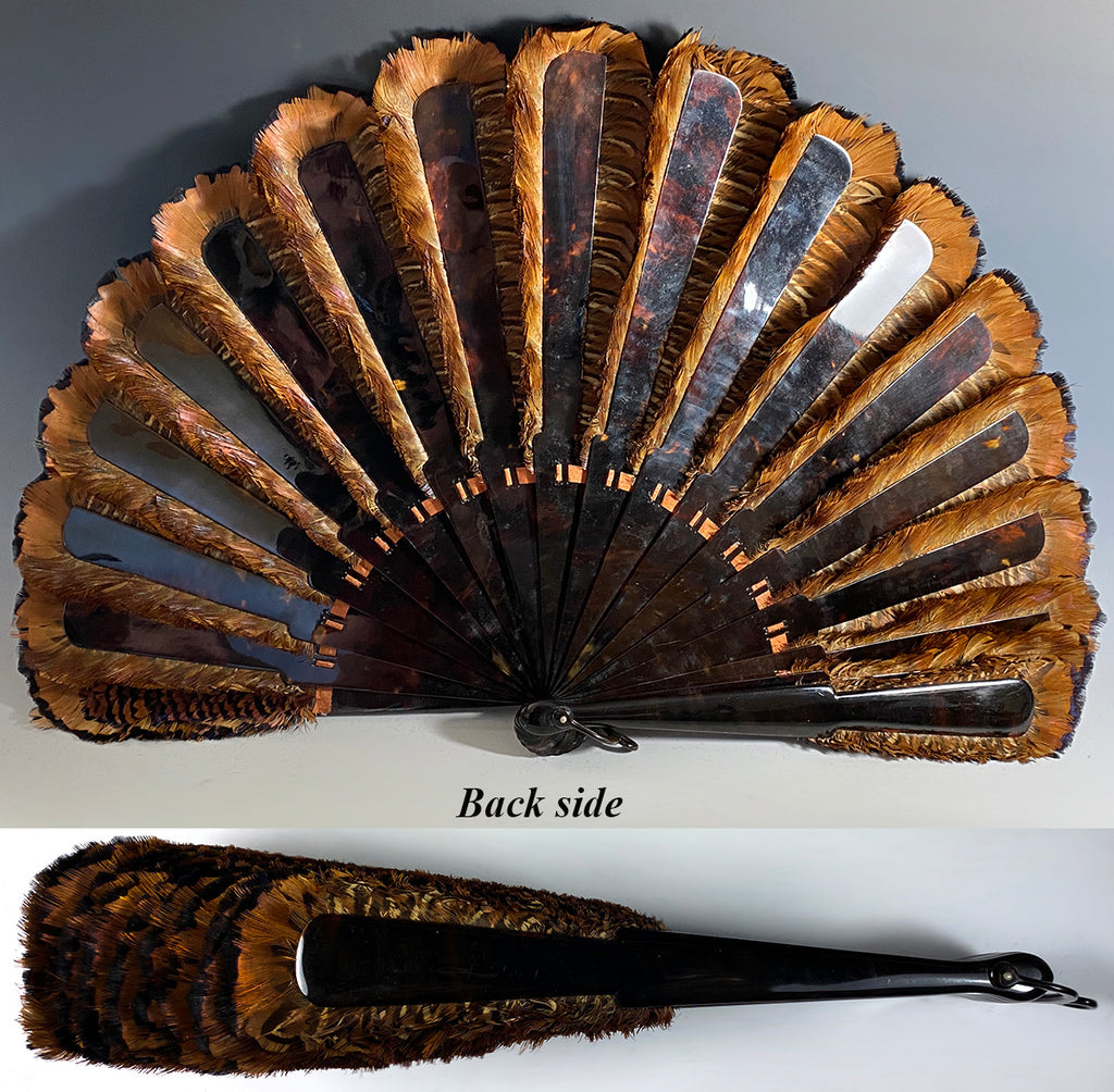 RARE Museum Fan, Antique French Tortoise Shell Monture, Lush Iridescen ...