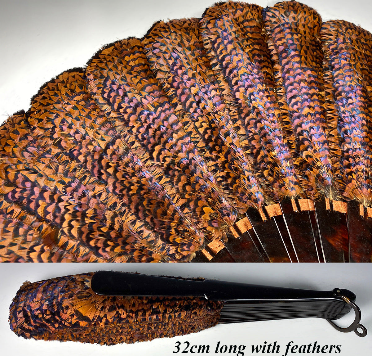 RARE Museum Fan, Antique French Tortoise Shell Monture, Lush Iridescen ...