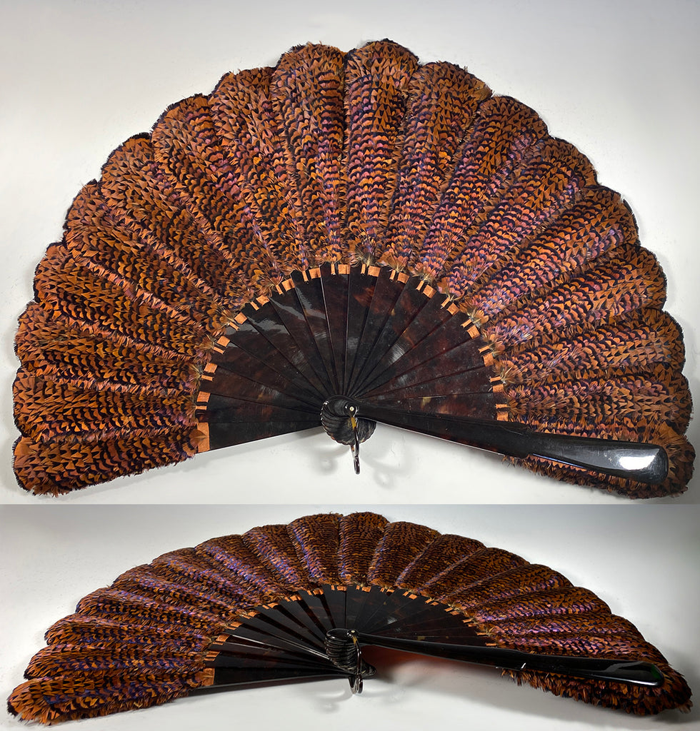RARE Museum Fan, Antique French Tortoise Shell Monture, Lush Iridescen ...