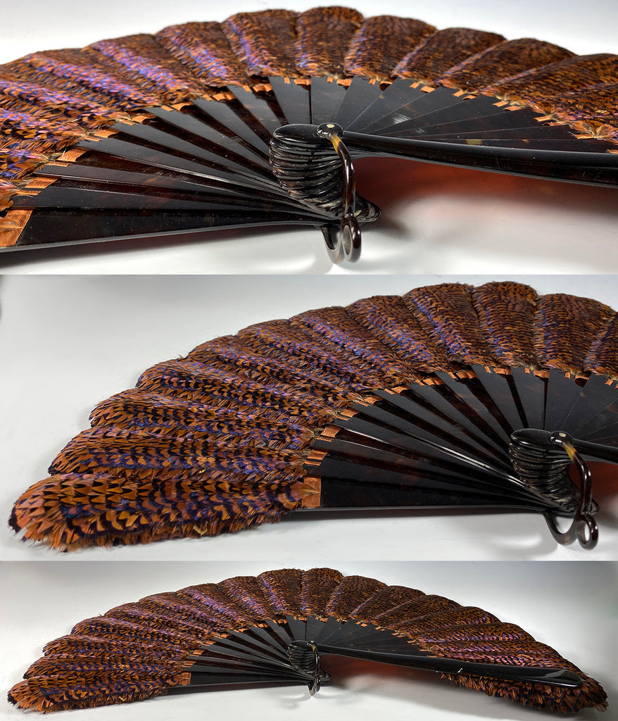RARE Museum Fan, Antique French Tortoise Shell Monture, Lush Iridescen ...