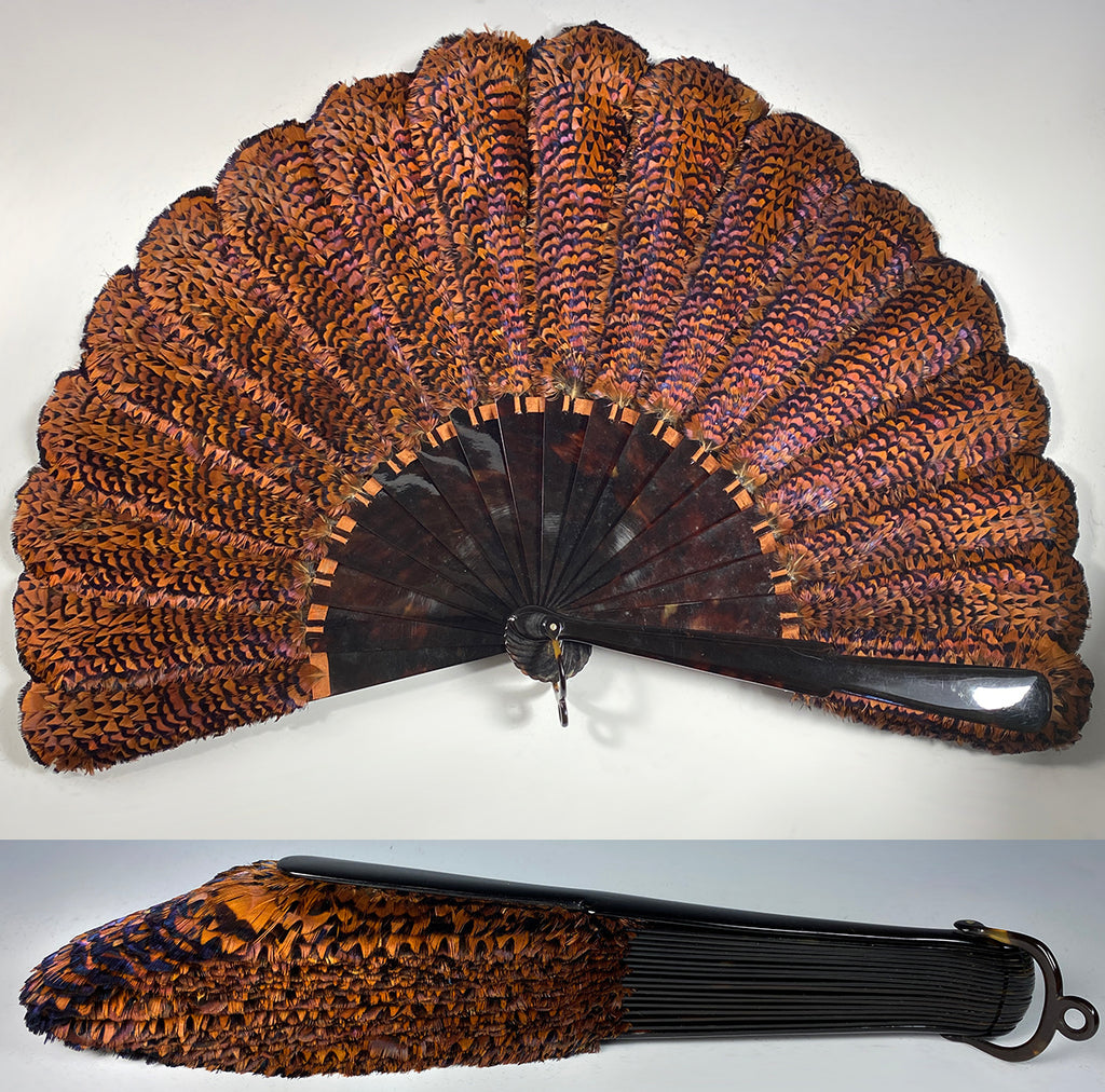 RARE Museum Fan, Antique French Tortoise Shell Monture, Lush Iridescen ...