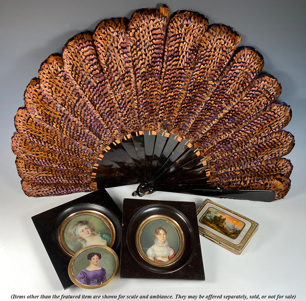 RARE Museum Fan, Antique French Tortoise Shell Monture, Lush Iridescen ...